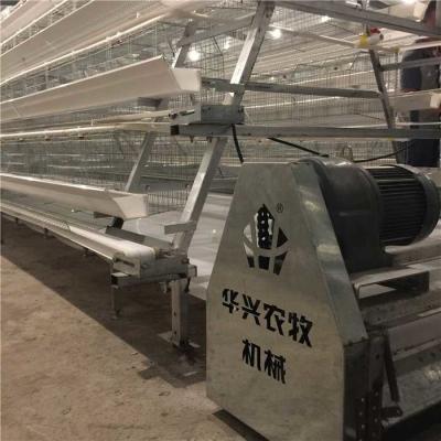 Cina Tipo automatico 4 Tires del sistema H di rimozione del concime dell'azienda agricola di pollo facile da operare in vendita