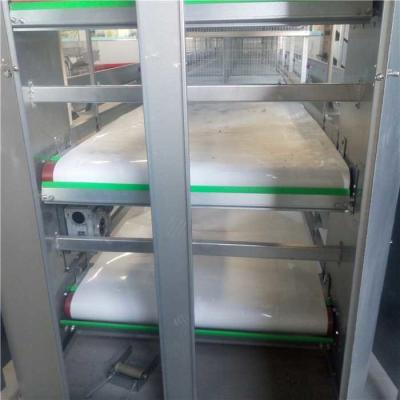 Cina attrezzatura di rimozione del concime 380V, attrezzatura del pollame del pollo di 120 * di 120 * 70cm in vendita