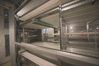 Cina L'allevamento del cavo di rendimento elevato ingabbia 24 usi commerciali delle cellule con il sistema bevente in vendita