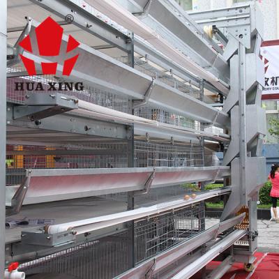 Cina Pollo completamente automatico di aumento di Chick Battery Poultry Cage For del bambino di 192 uccelli in vendita