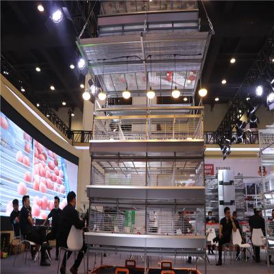 Cina 4 d'acciaio galvanizzati caldi Tires Chick Brooder Cage 20 anni di durata in vendita
