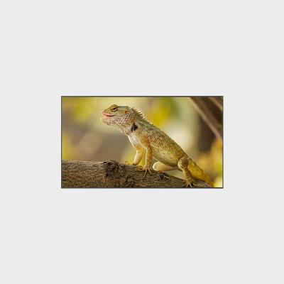중국 2000nits 높은 밝기 3840*2160 최고 성능을 위한 98인치 LCD 디스플레이 판매용