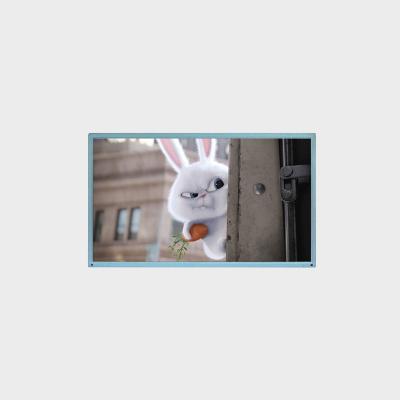 중국 17.3 인치 LCD 디스플레이 외부 패널 제어 응용 프로그램 지원 사용자 정의 LCMA-RX0173GA01-C080 판매용
