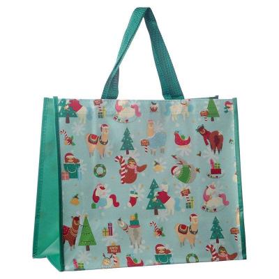 China Custom Printed Biodegradable PP Non Woven Tote Nonwoven Shopping Bag for sale