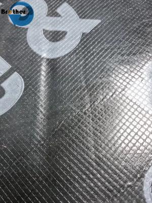 중국 Cross Laminated HDPE Film/CLPE Film-100 Microns 판매용