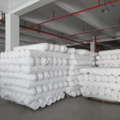China Jiaxing Factory Supplier 100% Polyester Greige Knitted Fabric Plain Style Textile Raw Material for Lining and Garments for sale