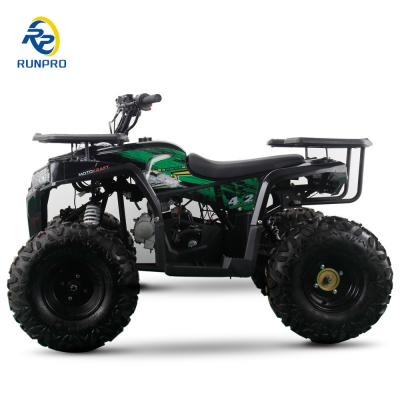 8inch 125cc Chain Drive Petrol ATV for Kids Racing Shaft Drive Beach 125cc All