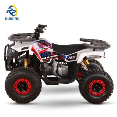 4-Stroke Engine Type Off Road 120cc 125cc ATV Quad Bikes with 2.5L Tank Capacity