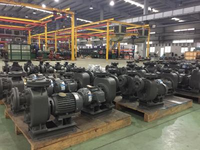 中国 横の電気自己の起爆剤の下水ポンプ、黒い終わりの吸引の遠心ポンプ 販売のため