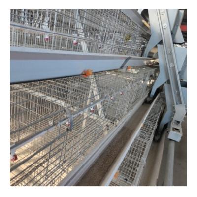 Chine Galvanisés à chaud de type 3 / 4 couche poulet cage couche de volaille pour les équipements agricoles à vendre