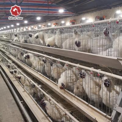 Κίνα 4 πουλιά ανά καυτό συστημάτων κλουβιών μπαταριών κυττάρων που βυθίζεται γαλβανισμένος προς πώληση