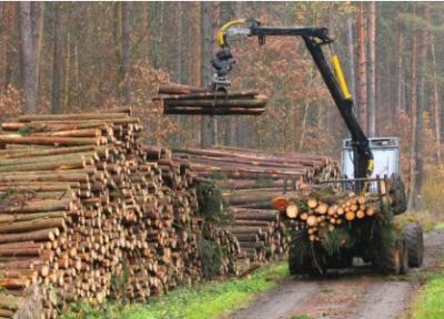 Cina 6 Wheels Forestry Skidder 18 Tons Timber Hauling in vendita