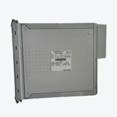 중국 ICS TRIPLEX TC-201-02-4M5 신뢰할 수 있는 동반자 슬롯, 40 채널 출력 모듈 판매용
