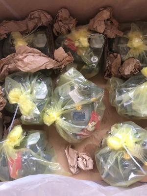 China Rexroth A10VSO100 Hydraulic Pump 35Mpa Gear Pump for sale