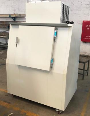 China Diepvriezer van de het Ijsopslag van 110V de R404A In zakken gedane met Embraco-Compressor Te koop