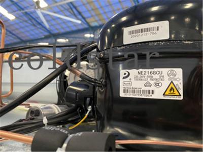 China Doppelte Glastür-aufrechter Anzeigen-Gefrierschrank -18 zum -22C Unterseiten-Berg-Kompressor zu verkaufen