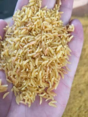 Cina un riso artificiale di 201 304 ss che fa la pianta fortificata 150kg/H del macchinario del riso in vendita
