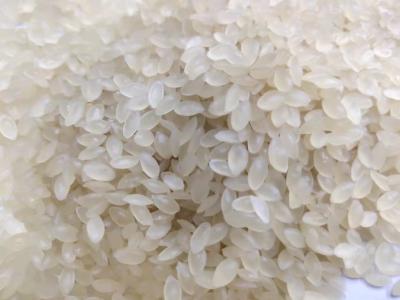 Cina L'iso del CE ha fortificato la linea di trasformazione il macchinario 1500kg del riso artificiale in vendita