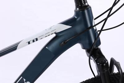 Aluminium Alloy Custom Simulated Carbon Fiber Mountain Bike for Man 29 Inch
