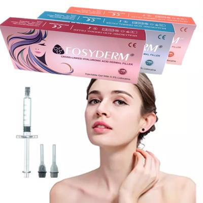 중국 HA Injectable Dermal Filler Fullness Lip Filler Injections Anti Aging 판매용
