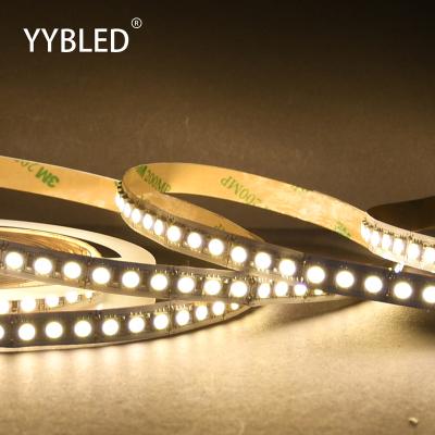 Cina DC12V 16.4ft 10mm SMD5050 120LED/meter LED Strip Light 5meter/Roll Home Cuttable Flexible LED Strip Light in vendita