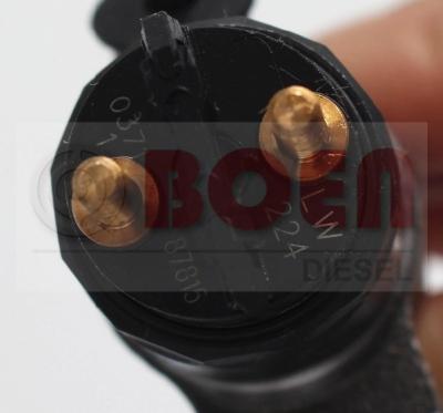 Κίνα 0445120224 κοινοί εγχυτήρες απόδοσης Bosch ραγών για WEICHAI 612600080618 WD10 προς πώληση