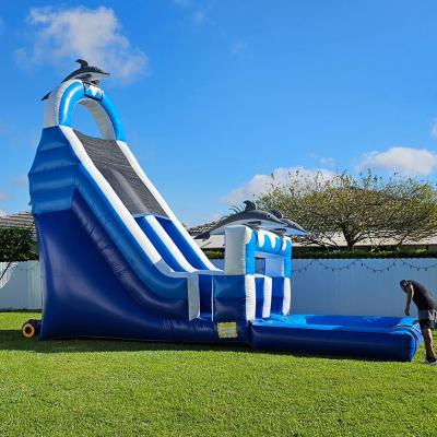 Κίνα 0.55mm PVC Tarpaulin Μεγάλη δελφίνι Θέμα φουσκωτό υδάτινο διαδρόμιο με αποσυναρμολογητή πισίνα προς πώληση