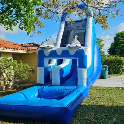 Κίνα 0.55mm PVC Tarpaulin Μεγάλη δελφίνι Θέμα φουσκωτό υδάτινο διαδρόμιο με αποσυναρμολογητή πισίνα προς πώληση