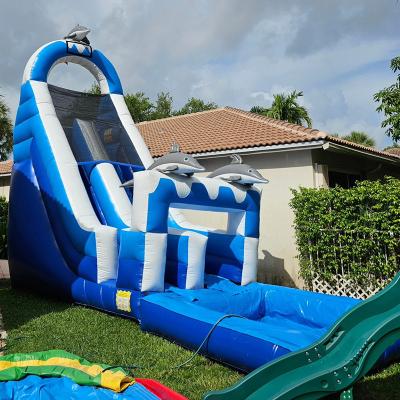 Κίνα 0.55mm PVC Tarpaulin Μεγάλη δελφίνι Θέμα φουσκωτό υδάτινο διαδρόμιο με αποσυναρμολογητή πισίνα προς πώληση