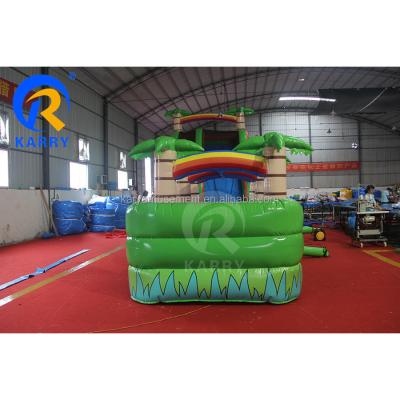 China Max Capacity 100-500kg Large Inflatable Water Slide with Extended Long Slide and Pool for sale
