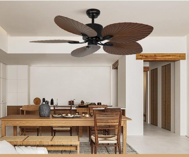 ceiling fan ceiling fan