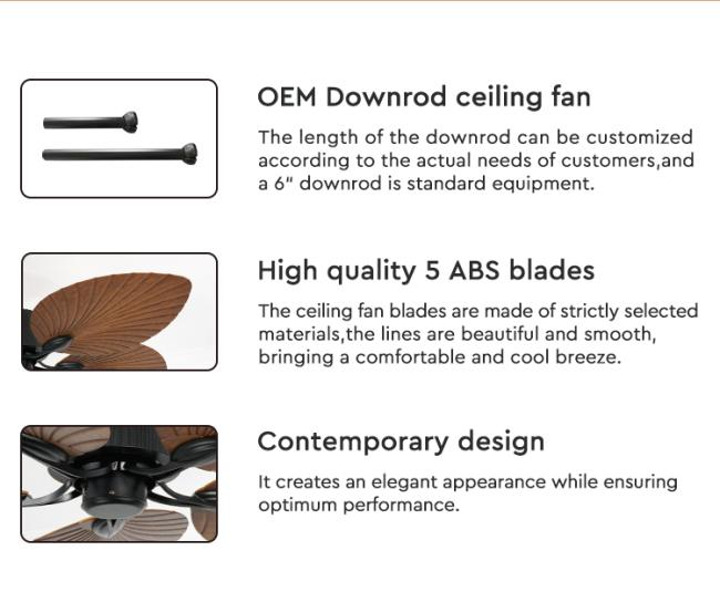 ceiling fan ceiling fan