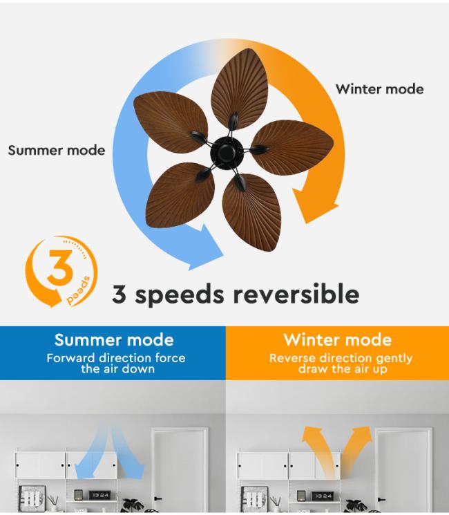 ceiling fan ceiling fan