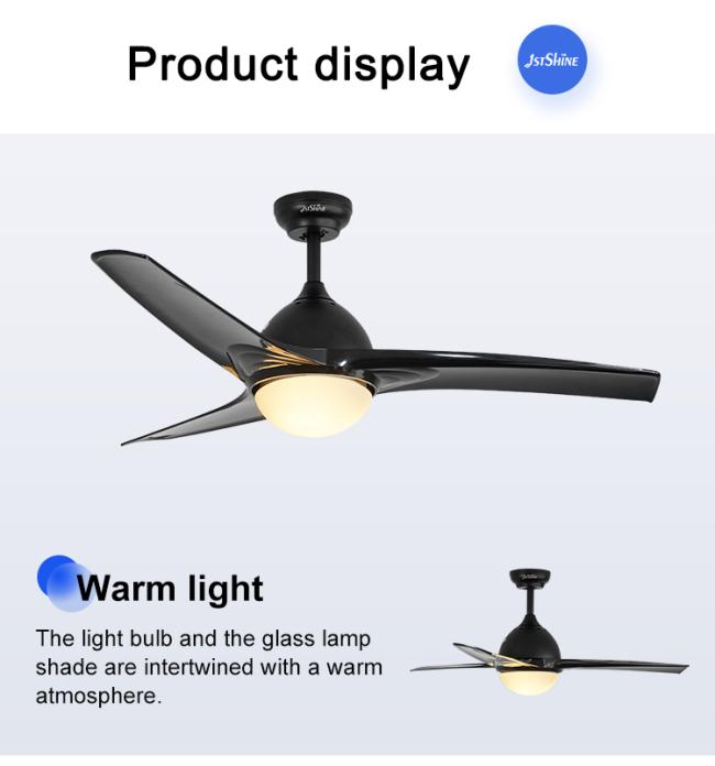 ceiling fan ceiling fan