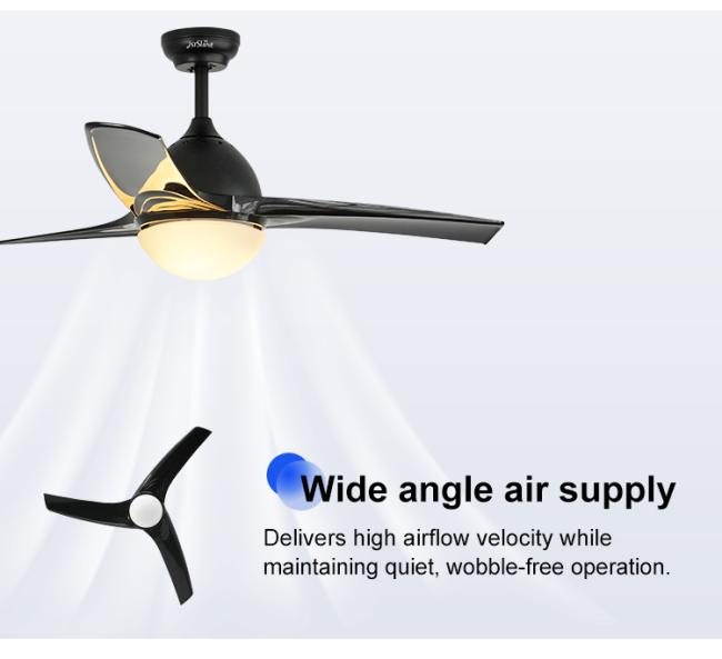 ceiling fan ceiling fan