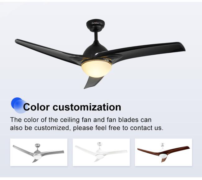 ceiling fan ceiling fan
