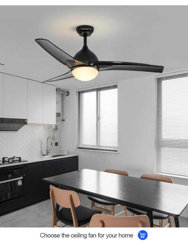 ceiling fan ceiling fan