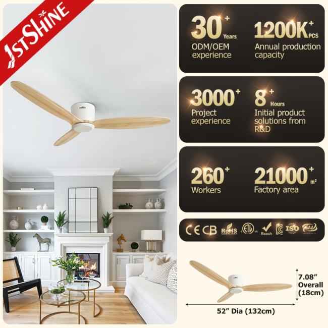 ceiling fan ceiling fan