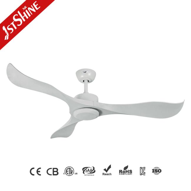 ceiling fan ceiling fan