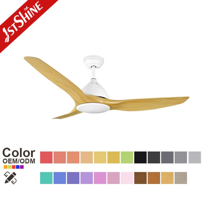 ceiling fan ceiling fan