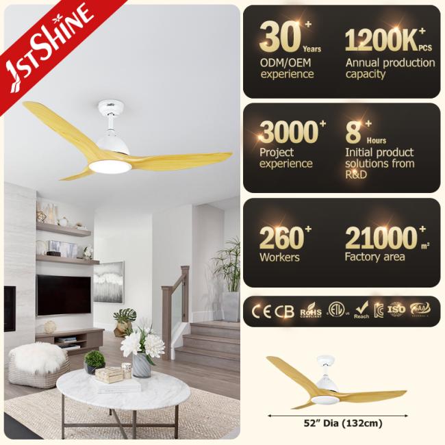 ceiling fan ceiling fan