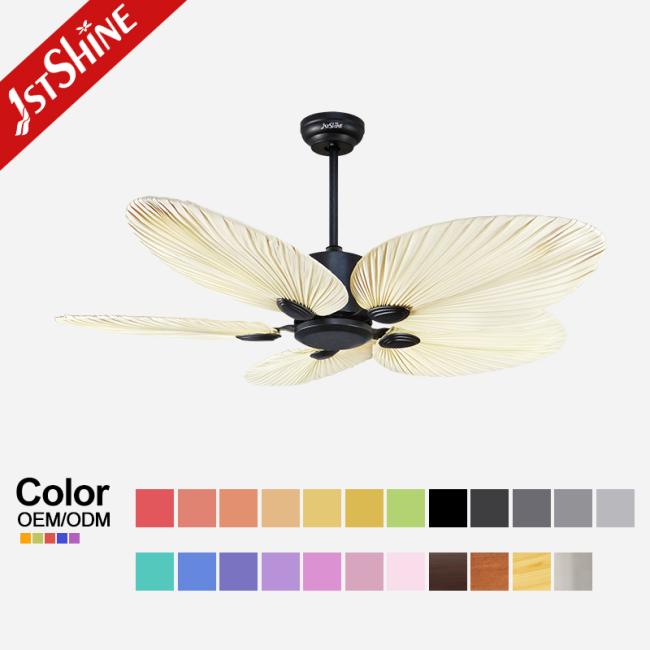 ceiling fan