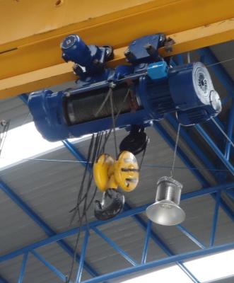 Chine Grue de corde électrique à distance sans fil entretien facile d'opération stable de 1 - 10 tonnes à vendre