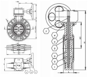 4" PVC Butterfly Valve with Gear Type for Swimming Pool