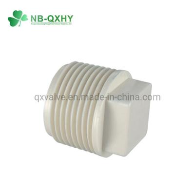 Cina Fittings di tubi per l'acqua a filo BS di plastica in vendita