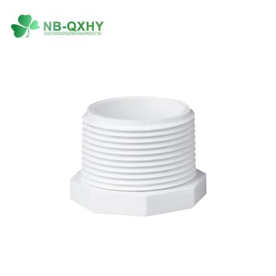 Cina Plastico PVC UPVC Sch40 Sch80 Fittings di tubi End thread Maschio Femminile Plug personalizzazione in vendita