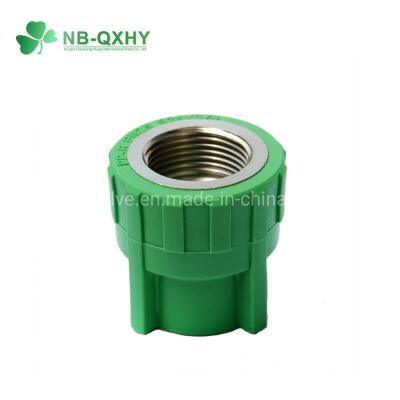 Cina PP-R Normal Green Pipe Fitting Connector Female Brass Insertion Coupling for Benefit in vendita