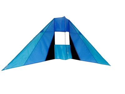 Cina linea aquilone 3d di volo 183*81cm del poliestere di 30m singola in vendita