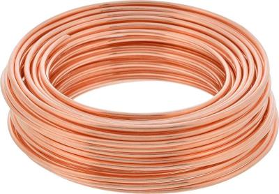 Cina High Tensile Strength Pure Copper Wire C1100 Diameter 0.1mm-15mm C2600 in vendita