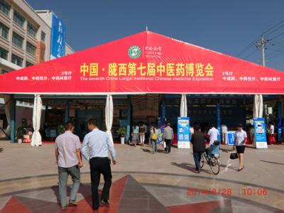 Cina Tenda resistente del partito della caratteristica, impermeabile su misura tenda del baldacchino del giardino in vendita